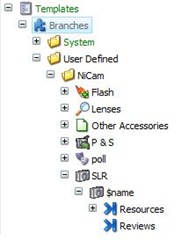 Taxonomy and Hierarchy in Web Content Management: Organizing Branch ...